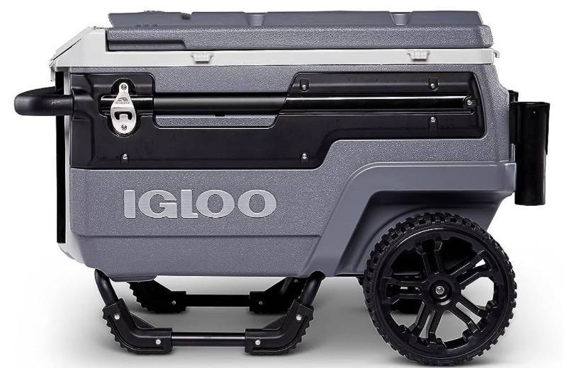 Igloo cooler, Precision Bass guitar, snow blower, Smart TV, Dyson ...