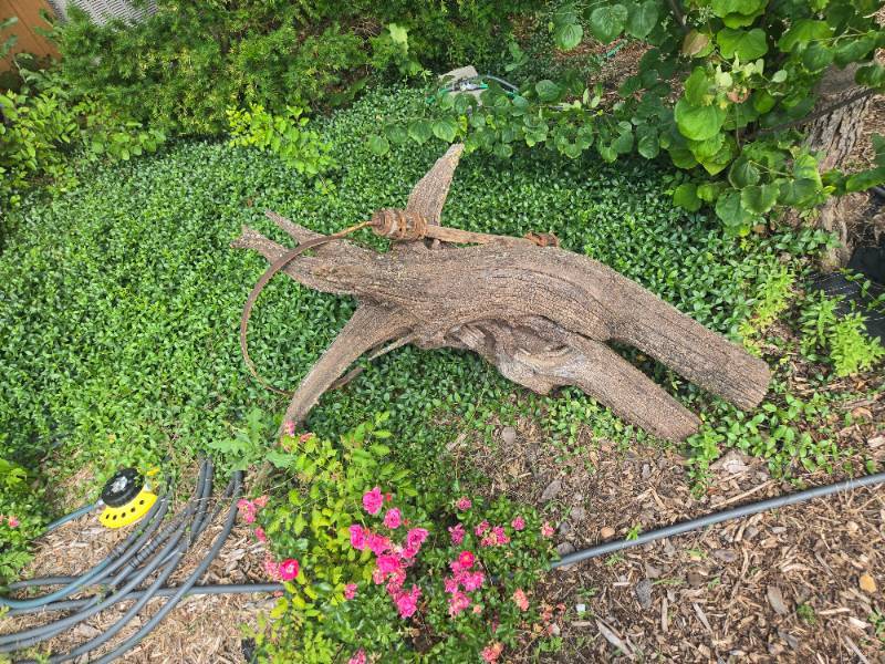 Everyday Auction Newton Estate Auction | Ferris IS500Z Commercial Grade ...