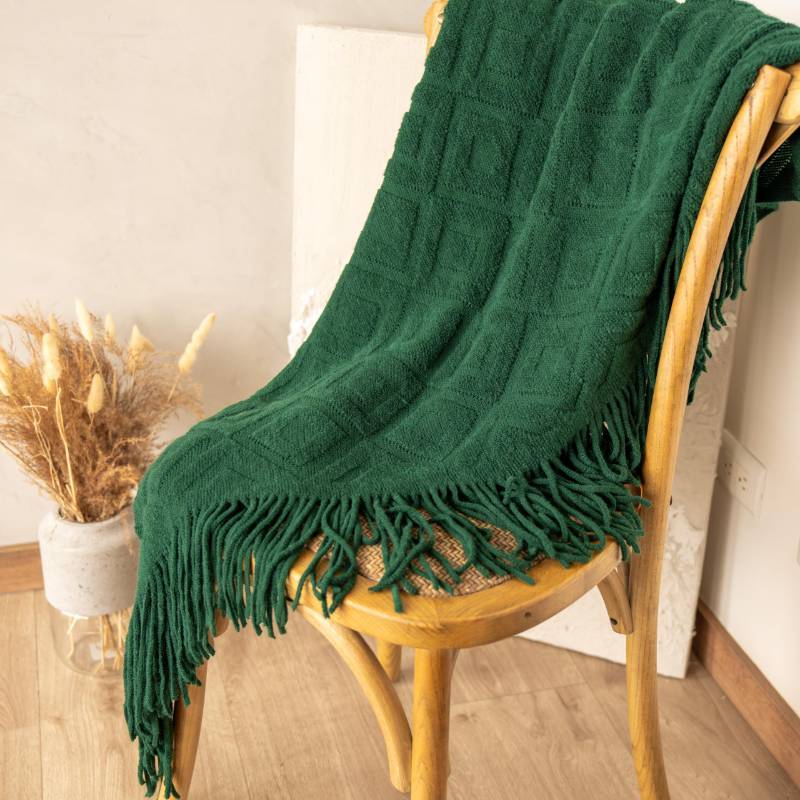 KC Bids Holiday / Christmas Auction Featuring Throw Blanket, Projector ...