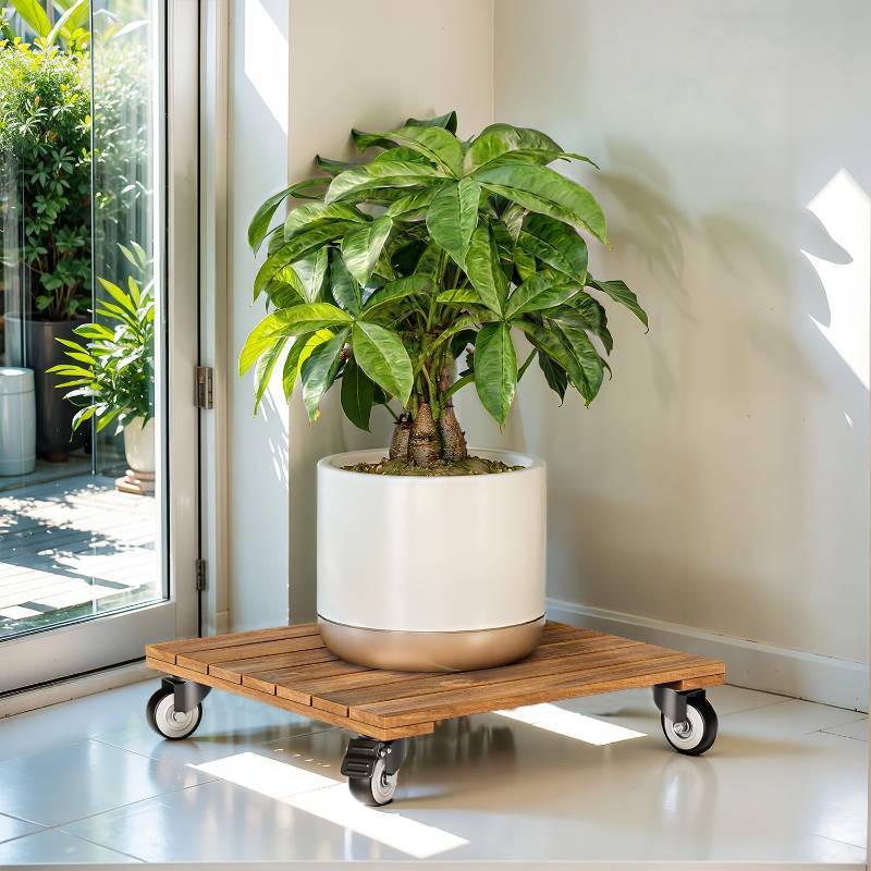 Busy Mo's Wednesday - Auction Ends 1/21 @ 1:30 pm - (LOAD OUTS TUESDAY ...