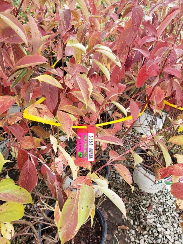 Site One Landscaping Fall Sale! | Equip-Bid